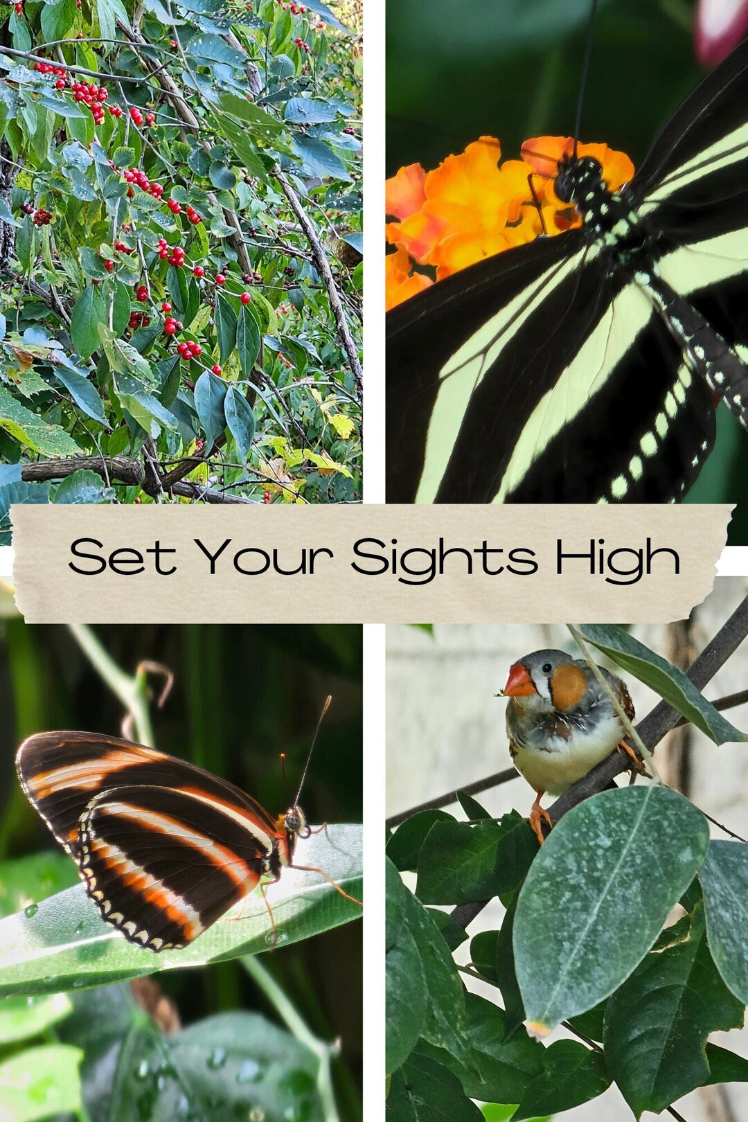 Set Your Sights High! Photography Collage, By: M Simpson Grant - Etsy