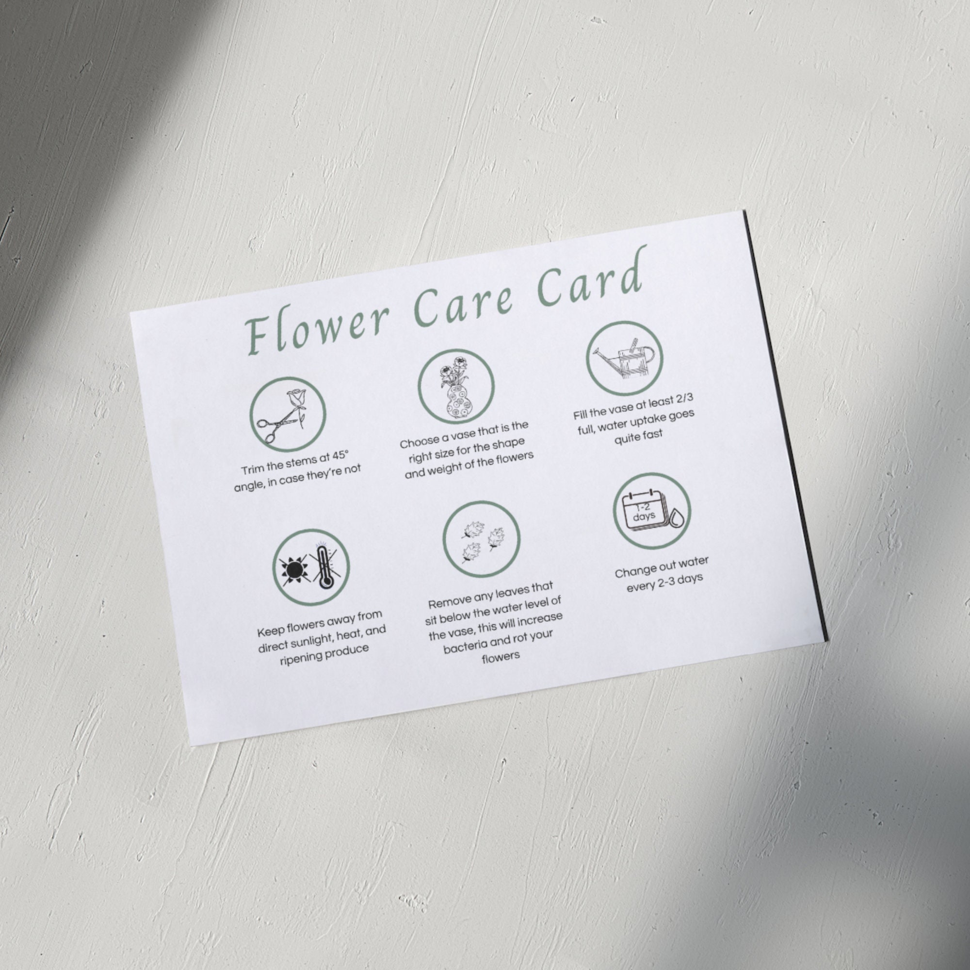 Editable Flower Care Instructions Printable Care Card Care Instructions ...