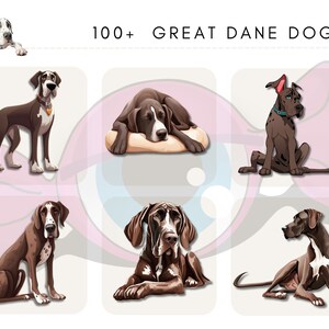 Great Dane Dog Cartoon Png Cute Dog Breed Clipart Puppy Images Junk ...