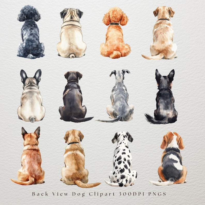 Dog Clipart From Back, Transparent PNG, Digital Download, Watercolor ...