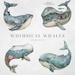 Whimsical Watercolor Whale Clipart, Transparent PNG, Junk Journal ...