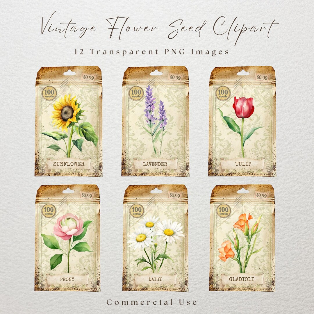 Vintage Seed Packet Clipart, Transparent PNG, Flower Seed Clipart ...