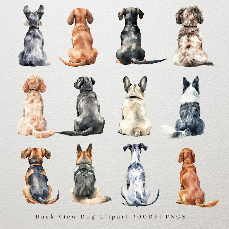 Dog Clipart From Back, Transparent PNG, Digital Download, Watercolor ...