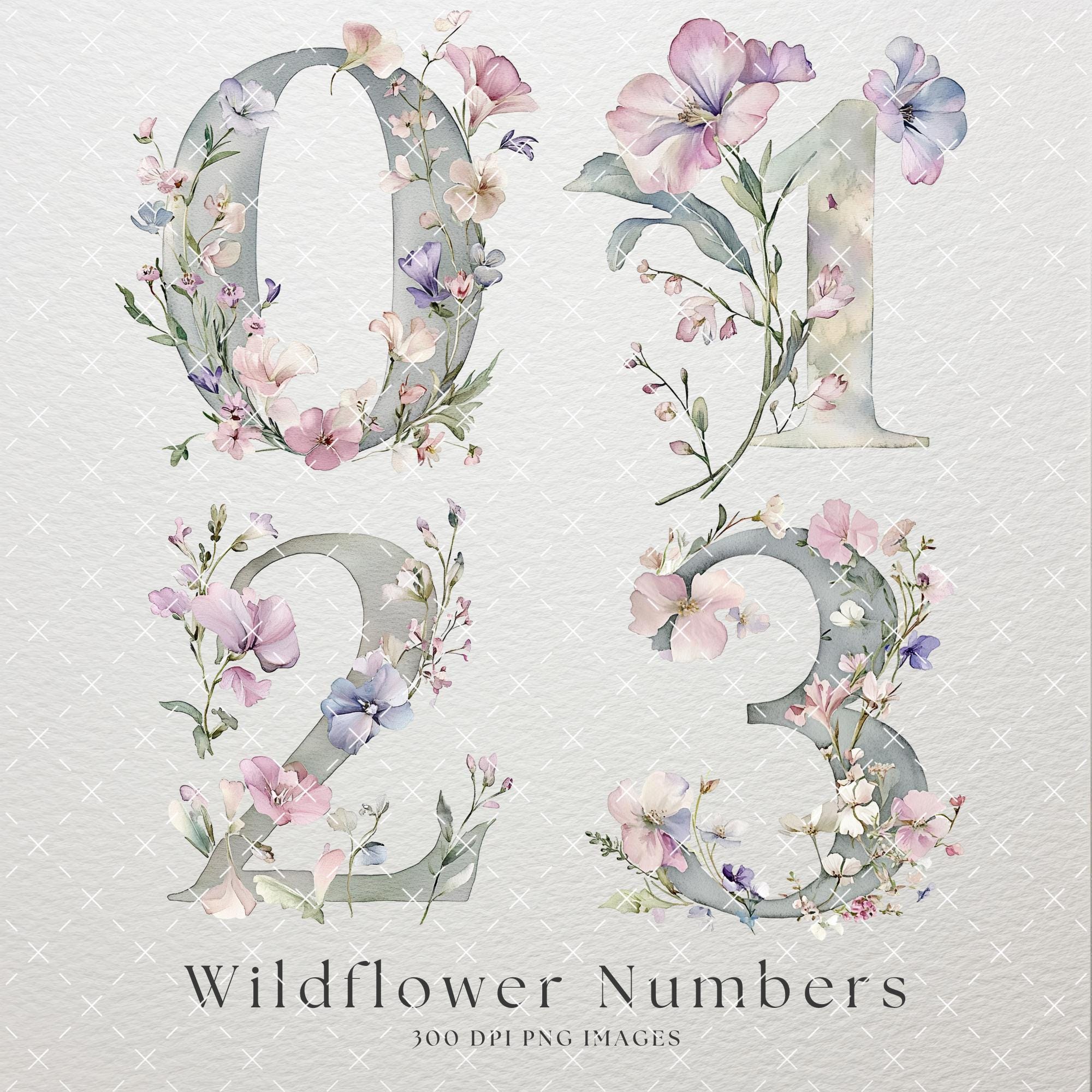 Wildflower Number Clipart, Transparent PNG, Instant Download ...