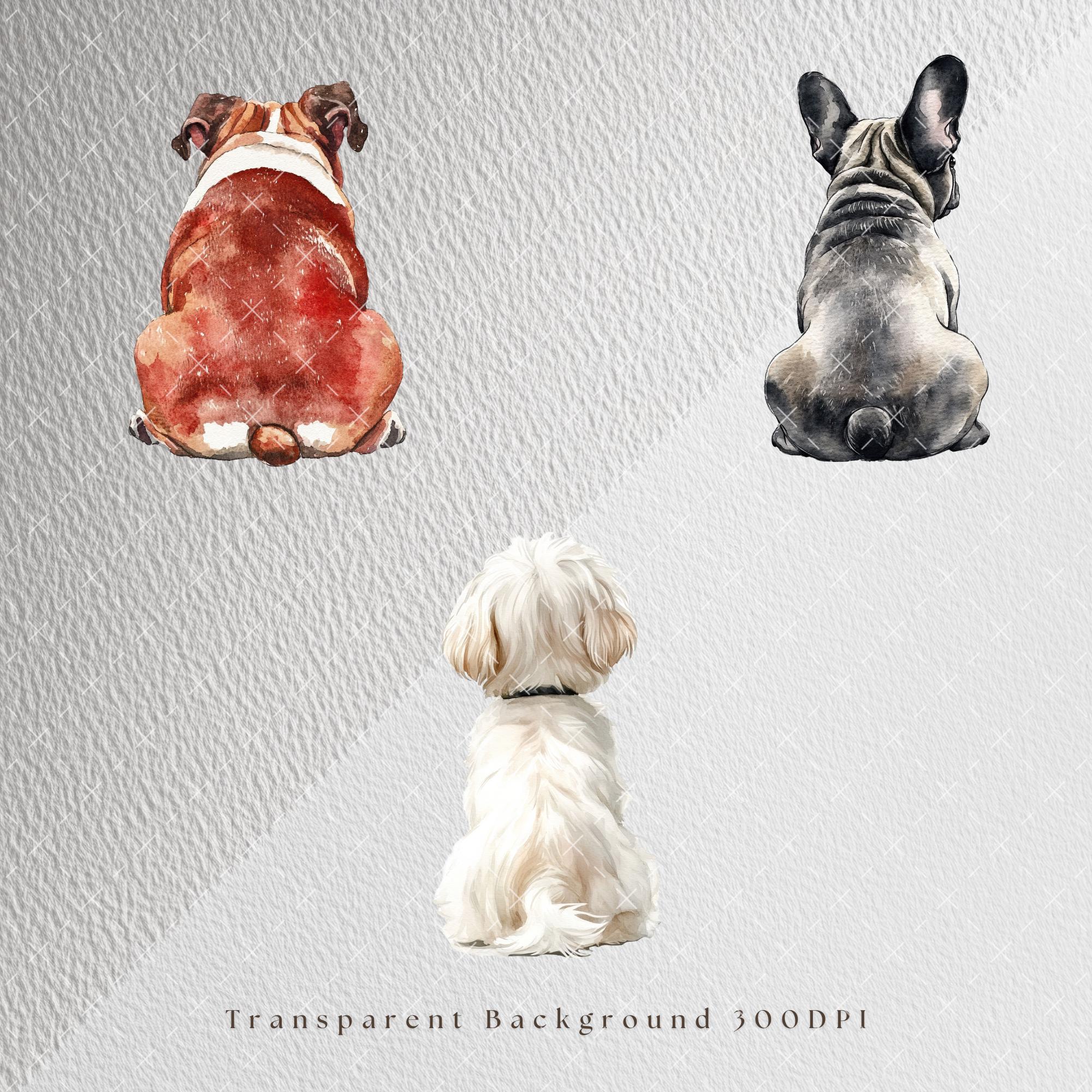 Dog Clipart From Back, Transparent PNG, Digital Download, Watercolor ...