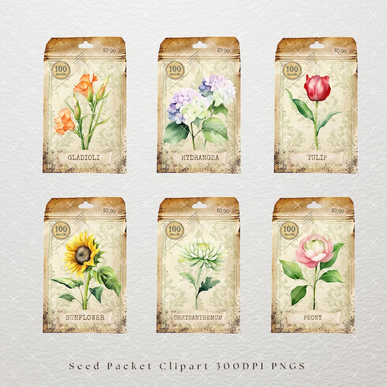 Vintage Seed Packet Clipart, Transparent PNG, Flower Seed Clipart ...