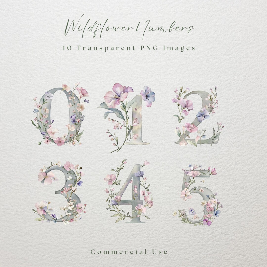 Wildflower Number Clipart, Transparent PNG, Instant Download ...