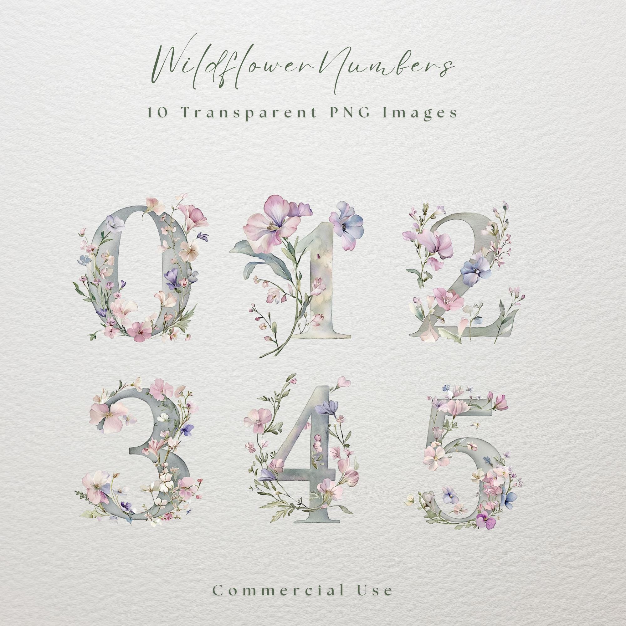 Wildflower Number Clipart, Transparent PNG, Instant Download ...