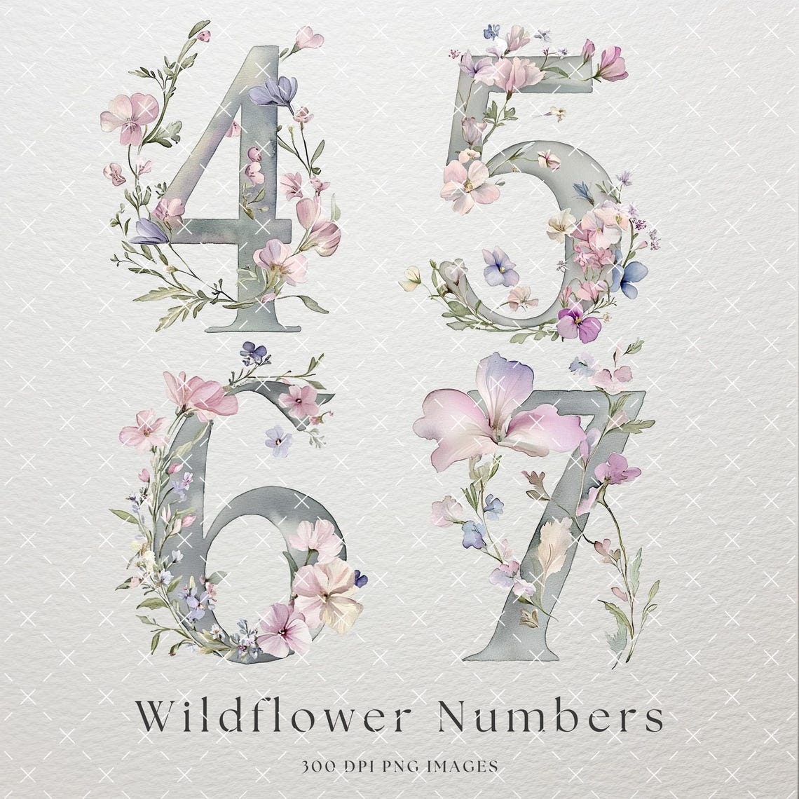 Wildflower Number Clipart, Transparent PNG, Instant Download ...