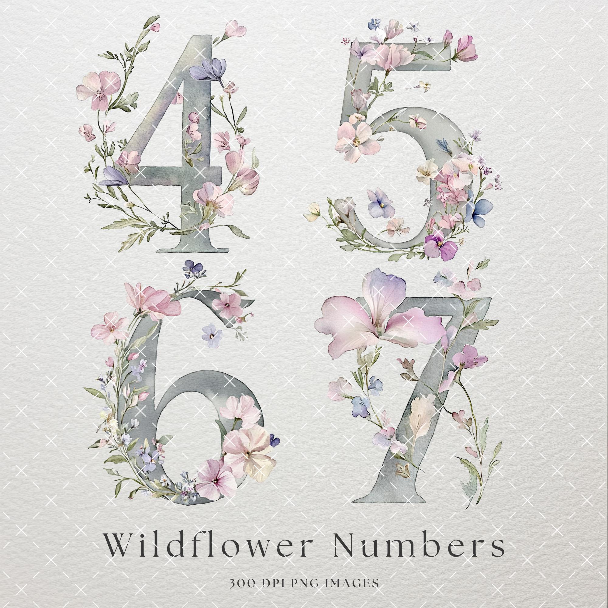 Wildflower Number Clipart, Transparent PNG, Instant Download ...