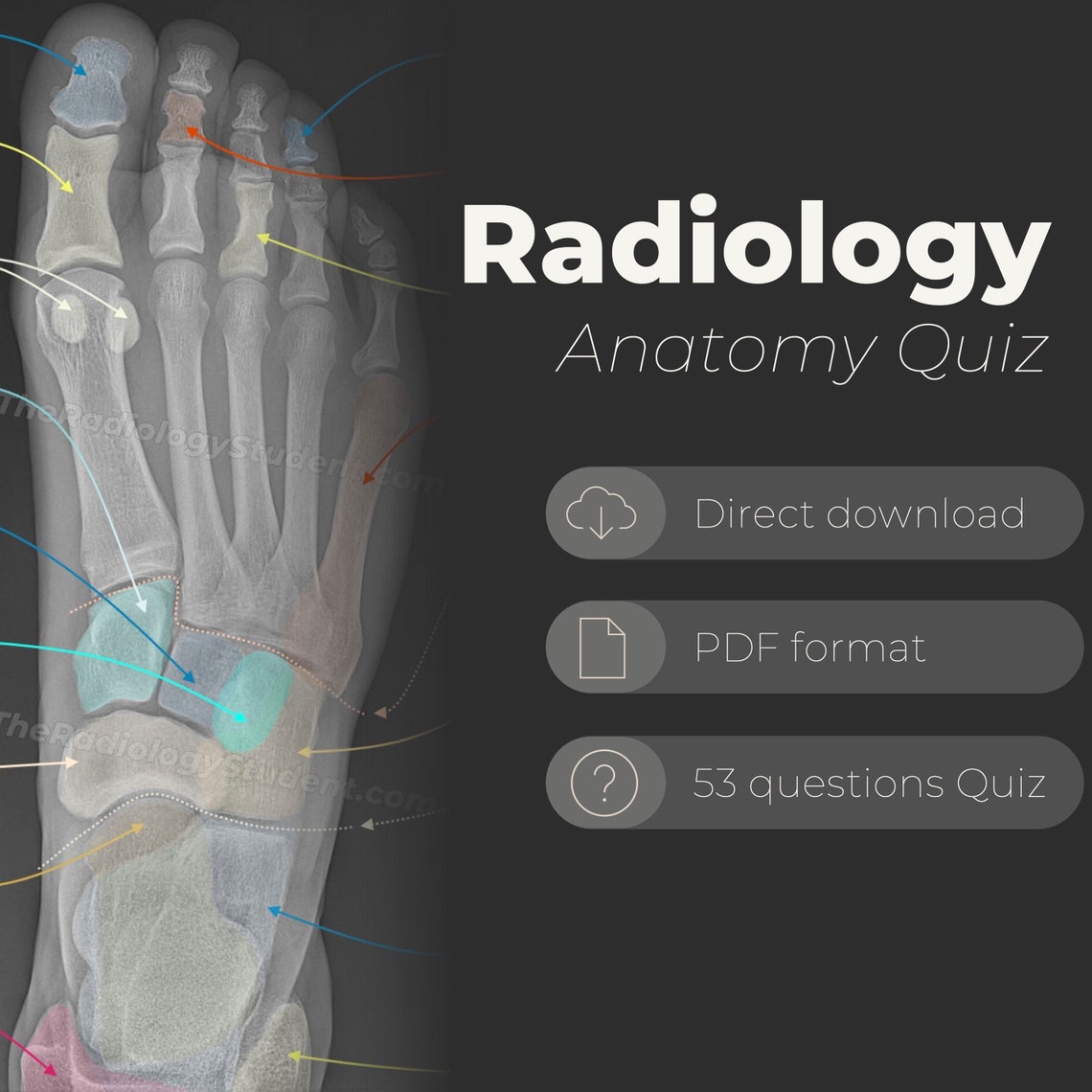 Foot Radiography Anatomy | Radiology Study Aid for Beginner | Annotated ...
