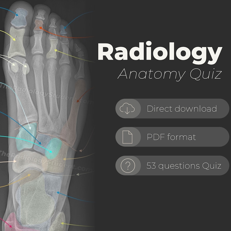 Foot Radiography Anatomy | Radiology Study Aid for Beginner | Annotated ...