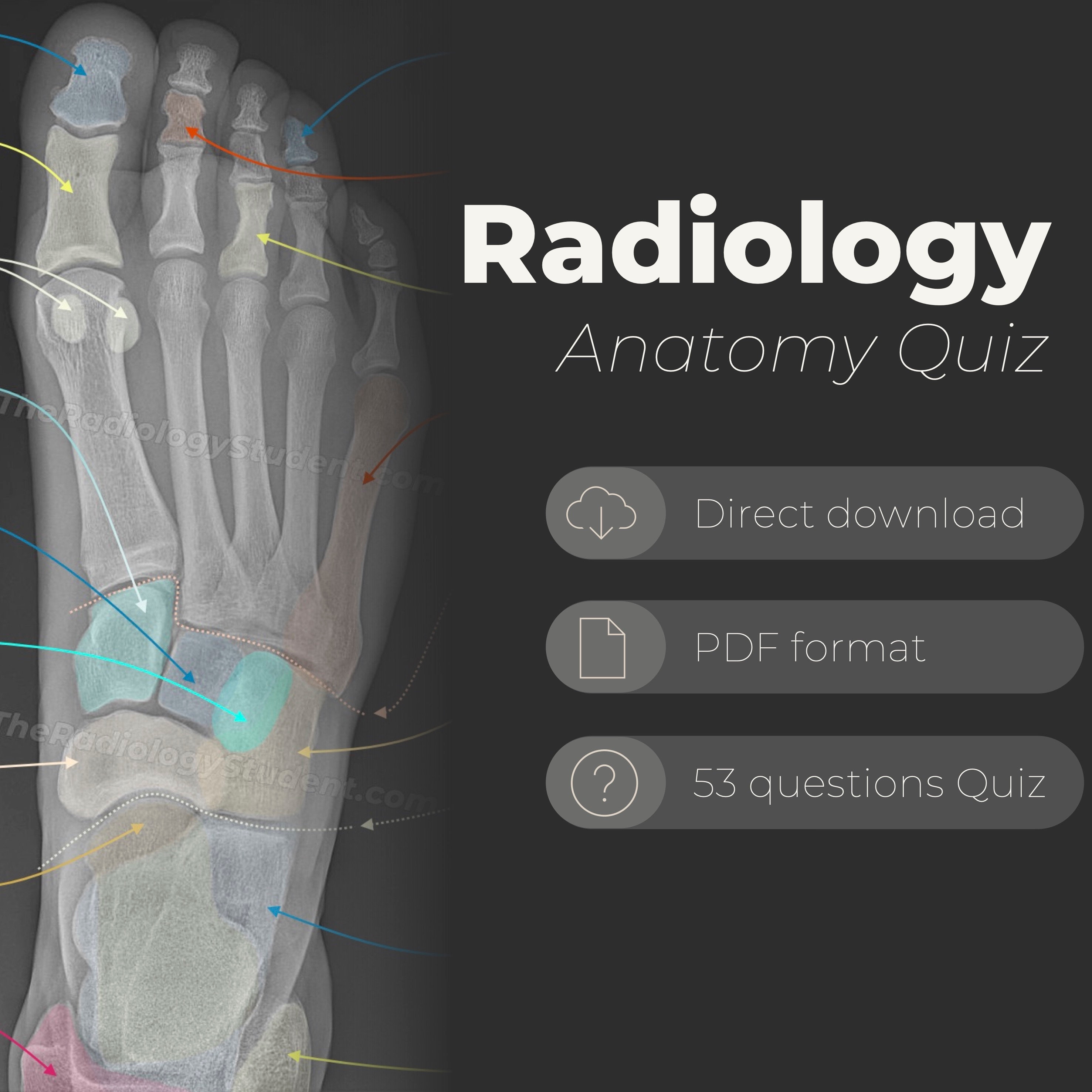 Foot Radiography Anatomy | Radiology Study Aid for Beginner | Annotated ...