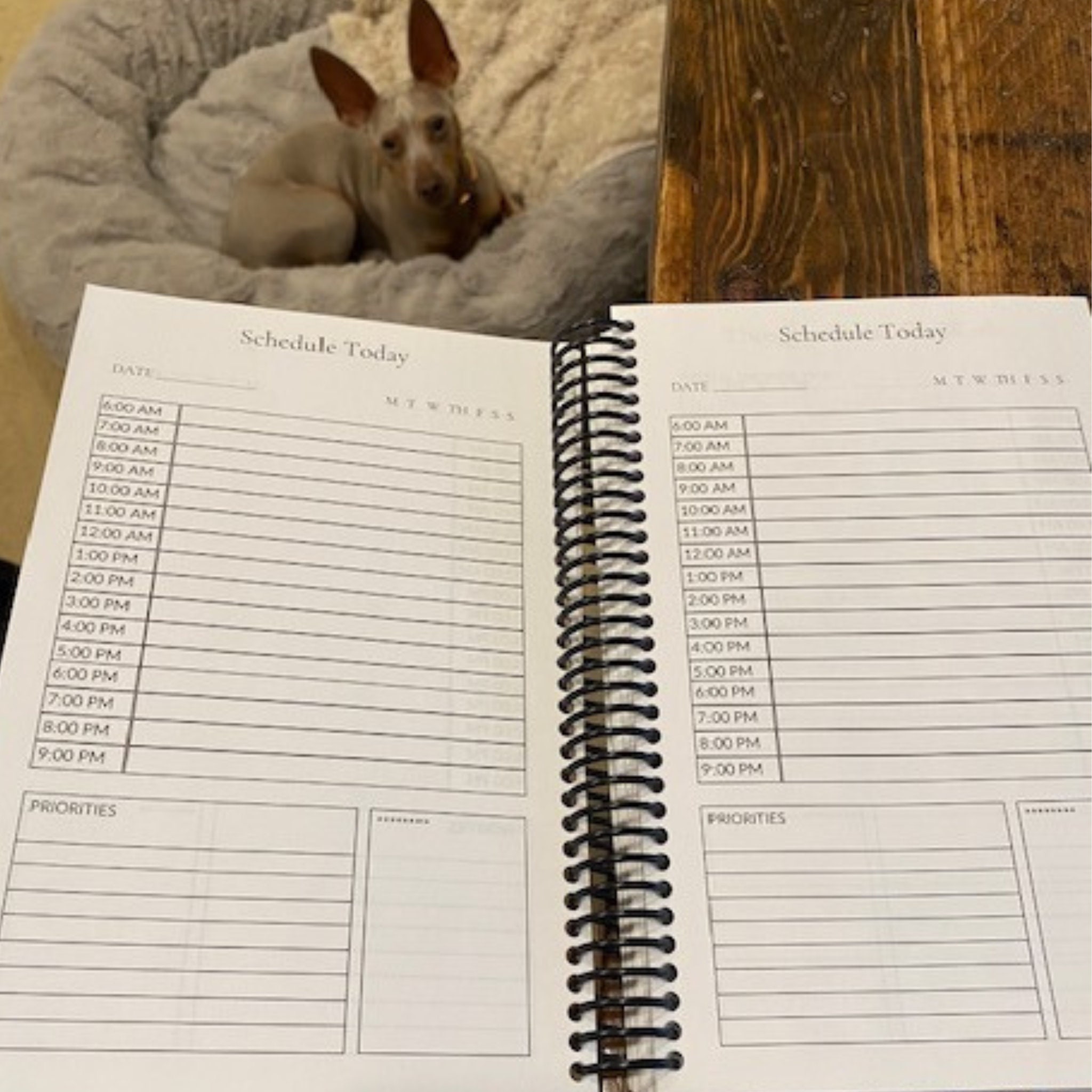 Dog Mom Daily Planner - Colorful Dog Mom Journal - Dog Daily Planner ...