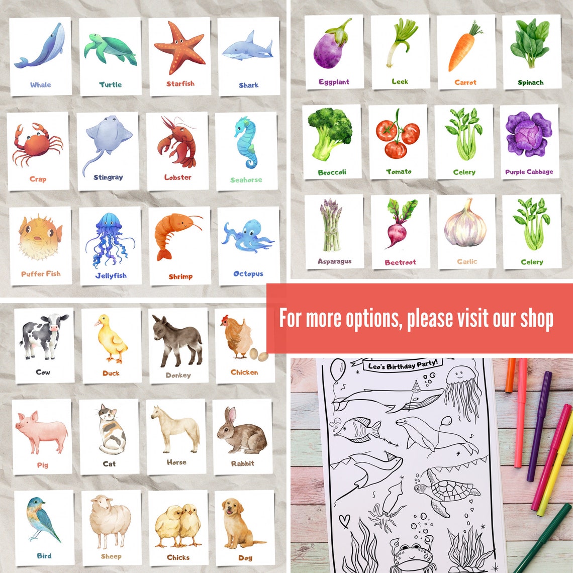 Educational Fruit Flashcards Set of 20, Perfect for Montessori School ...