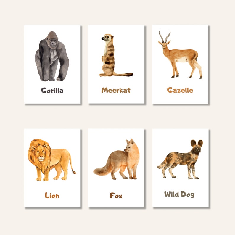 25 Safari Animals Flash Cards, Engaging Preschool Curriculum Aid ...