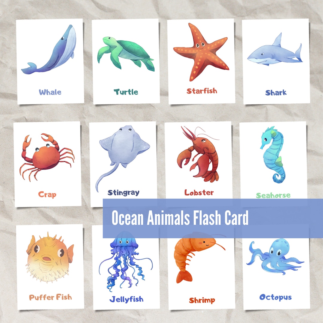 20 Ocean Animals Flash Cards for Preschoolers Educational Sea Life ...