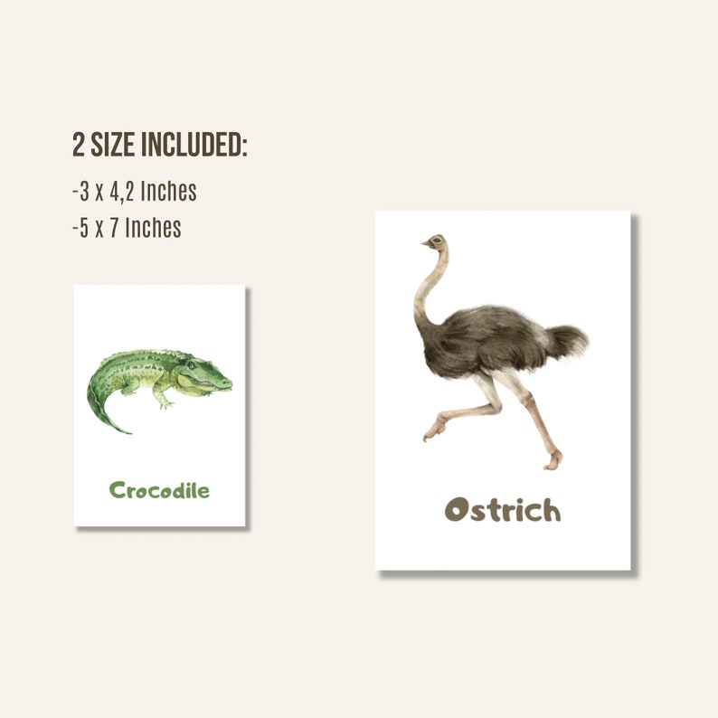 25 Safari Animals Flash Cards, Engaging Preschool Curriculum Aid ...