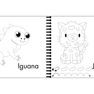 Zoo-tastic Trace & Color: A Fun Adventure With Animals - Etsy