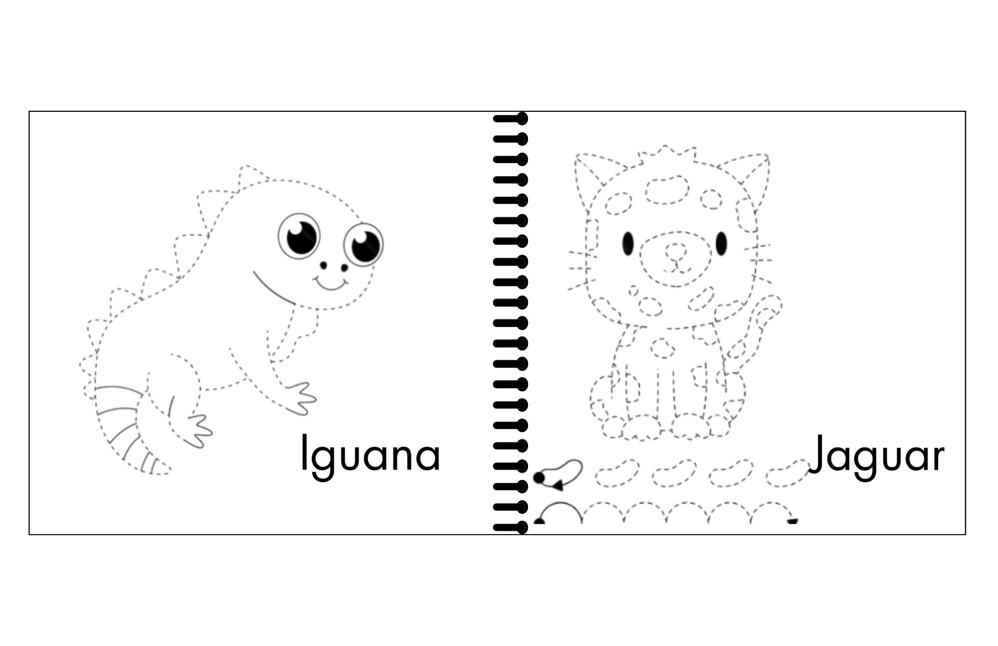 Zoo-tastic Trace & Color: A Fun Adventure With Animals - Etsy
