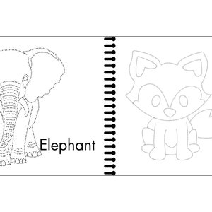 Zoo-tastic Trace & Color: A Fun Adventure With Animals - Etsy