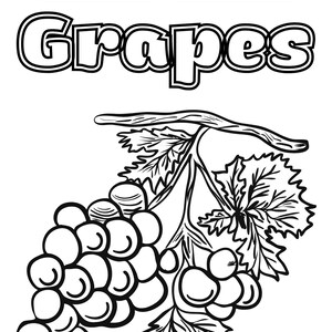 Fruit Coloring Pages for Kids 56-page Printable Set With Fun Fruit ...