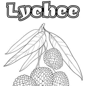 Fruit Coloring Pages for Kids 56-page Printable Set With Fun Fruit ...