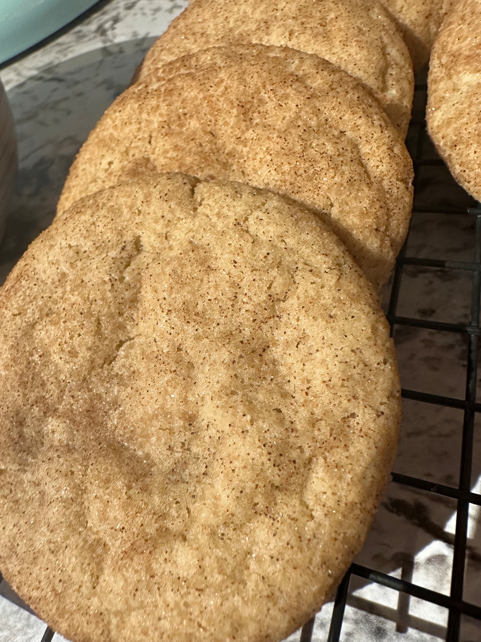 GF Snickerdoodles - Etsy
