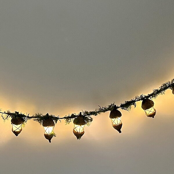 Miniature Acorns - Etsy