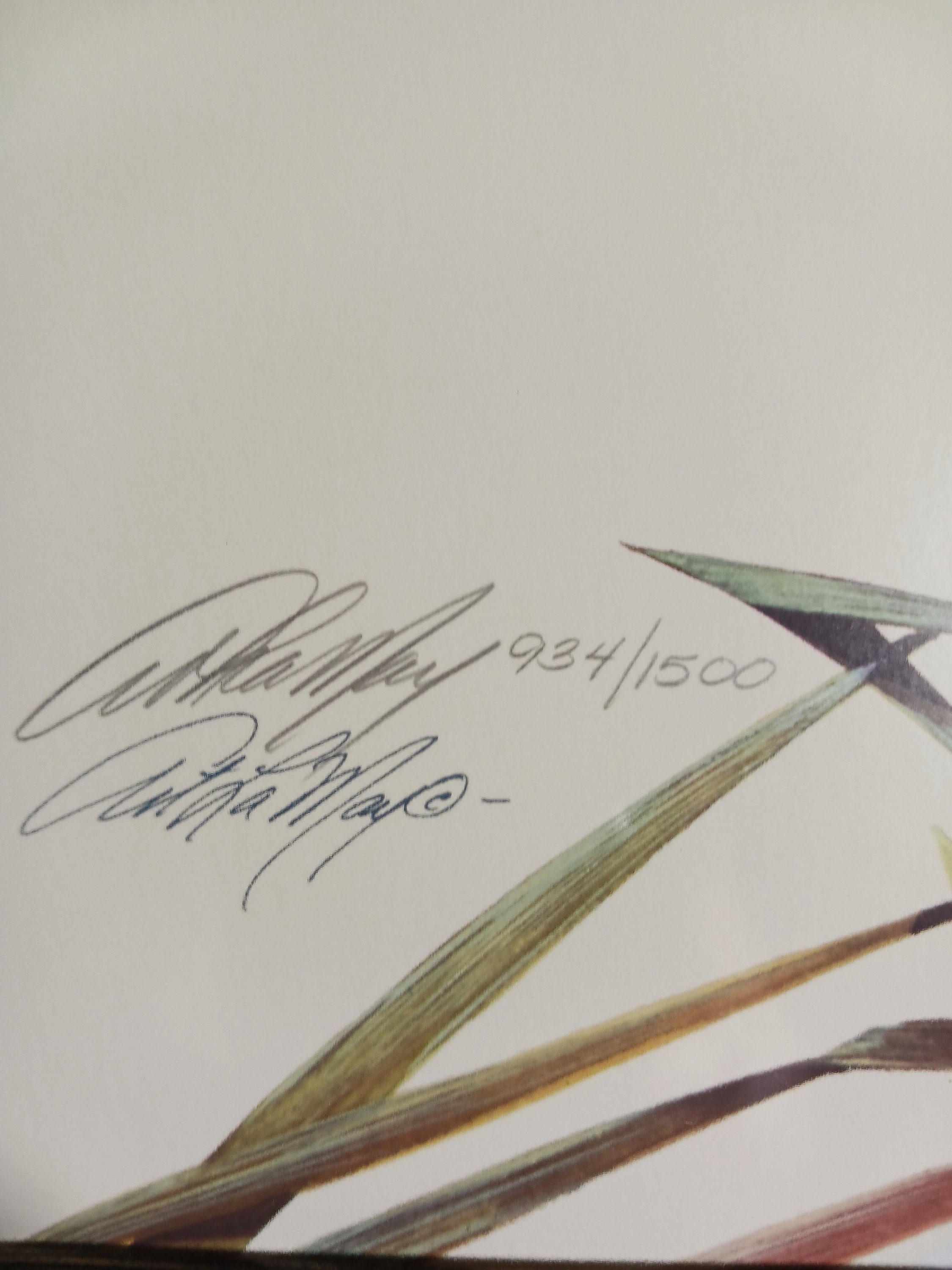 Art Lamay Signed Print, Two Birds, Numbered 934/1500, 37 High, 28 Wide ...