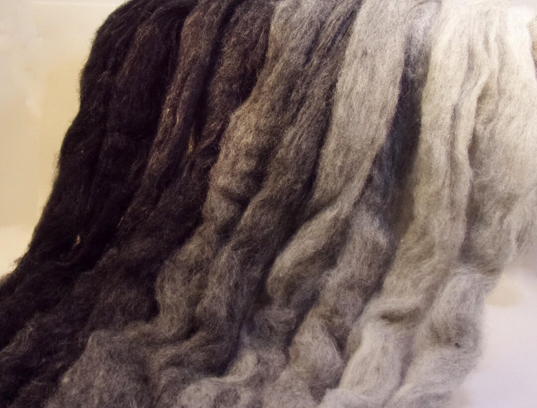 Corriedale "grey Shades Collection" of 5 Carded Roving (dyed Wool ...