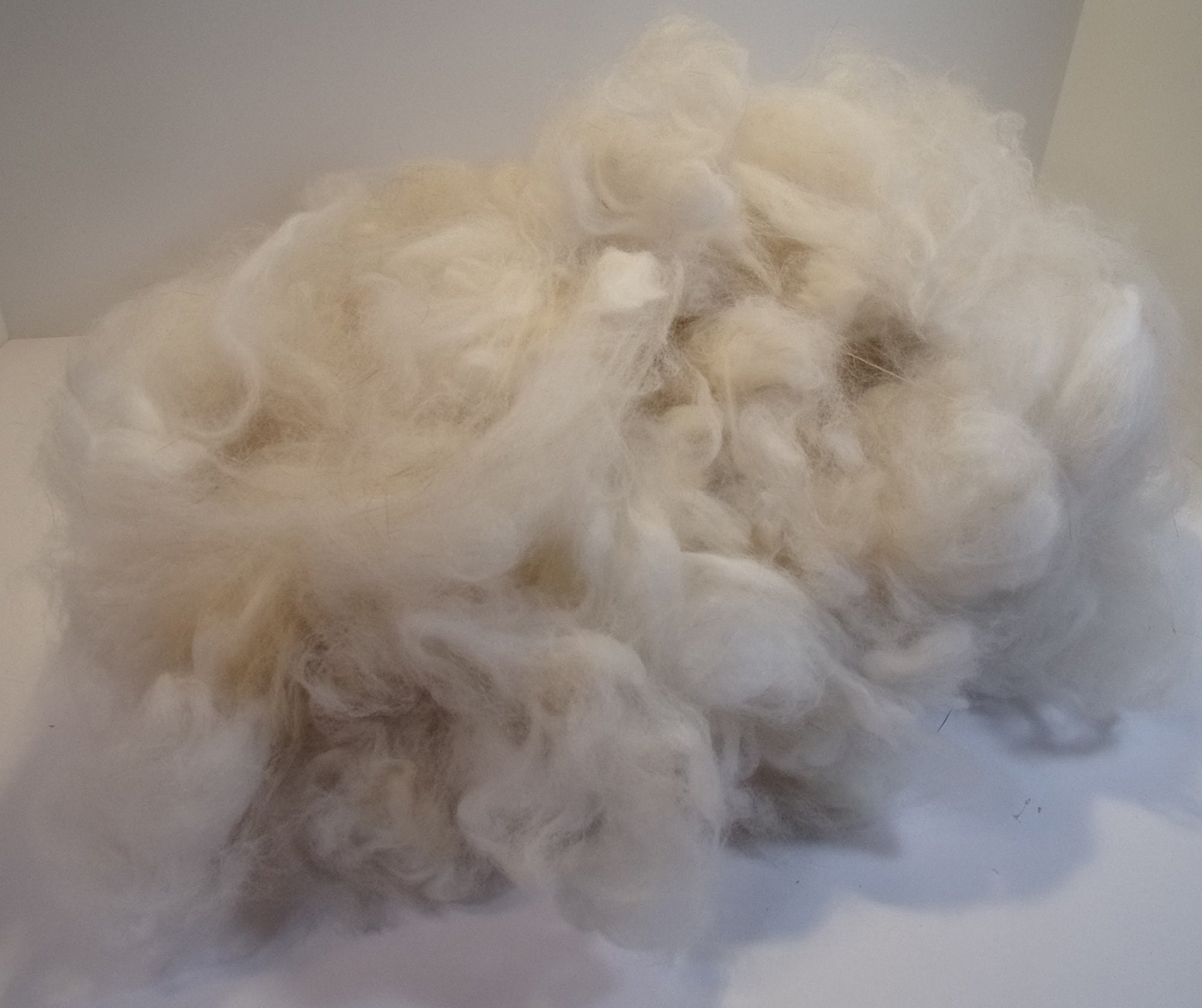 Handplucked Angora Rabbit Fiber From Rosemary 1 Oz. - Etsy