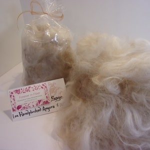 Handplucked Angora Rabbit Fiber From Sage 1 Oz. - Etsy