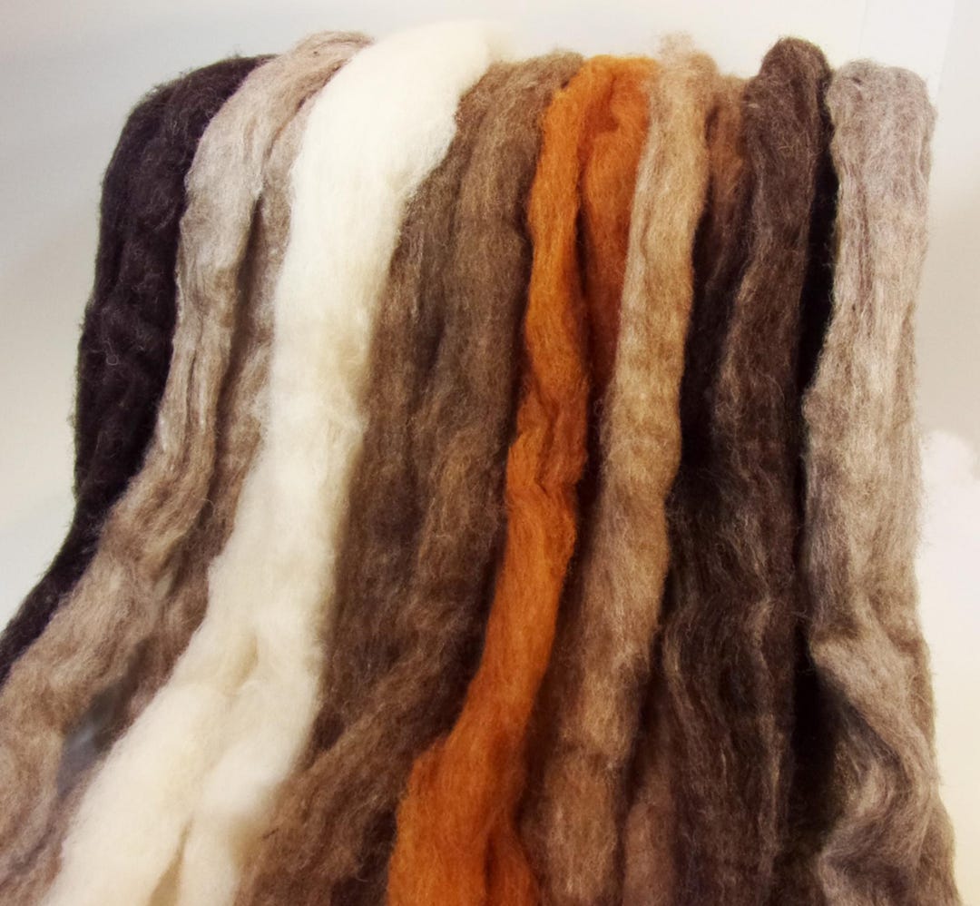 Corriedale "woodland Critter Collection" of 8 Carded Roving (dyed Wool ...