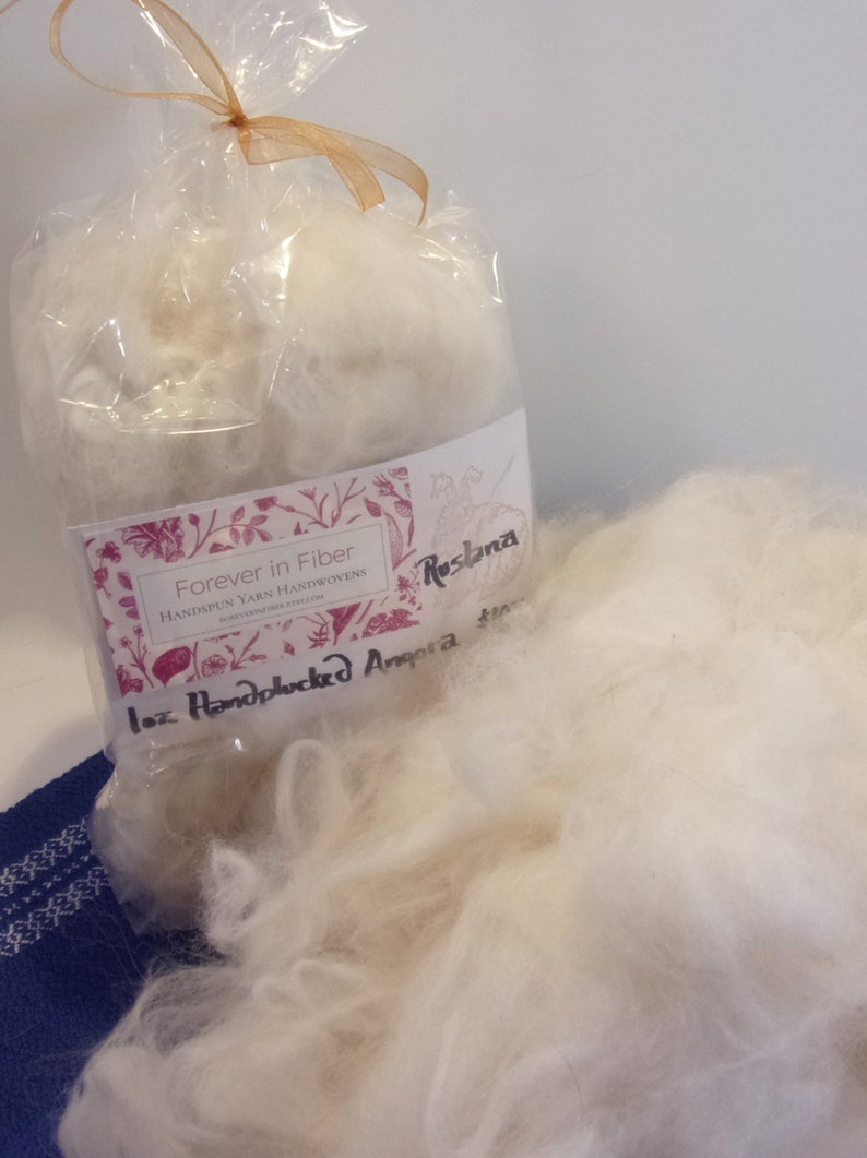 Handplucked Angora Rabbit Fiber From Ruslana 1 Oz. - Etsy