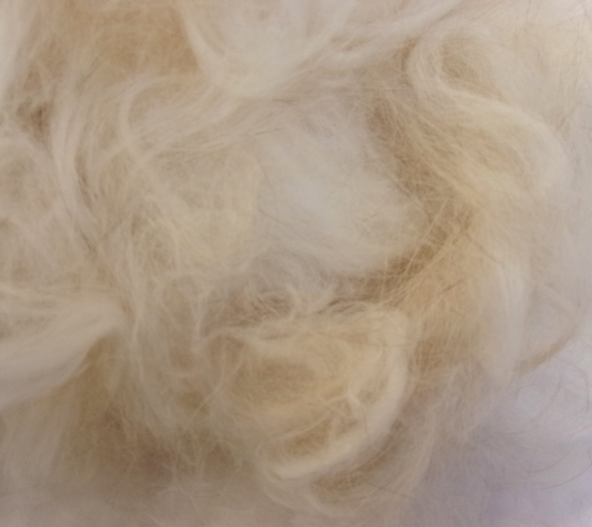 Handplucked Angora Rabbit Fiber From Ruslana 1 Oz. - Etsy