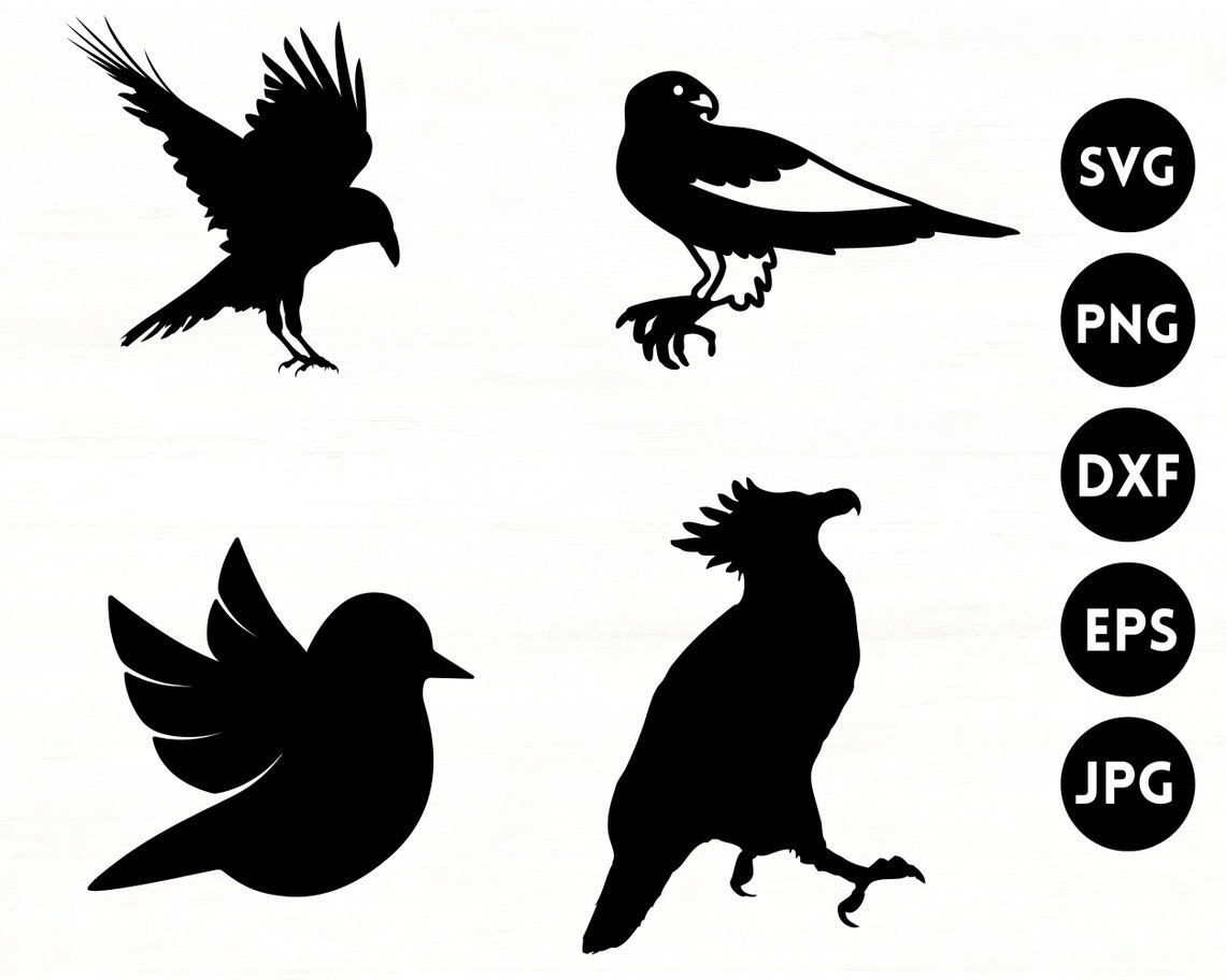 Bird Svg Bundle, Bird Svg, Flying Bird Svg, Animal Svg, Bird Clip Art ...