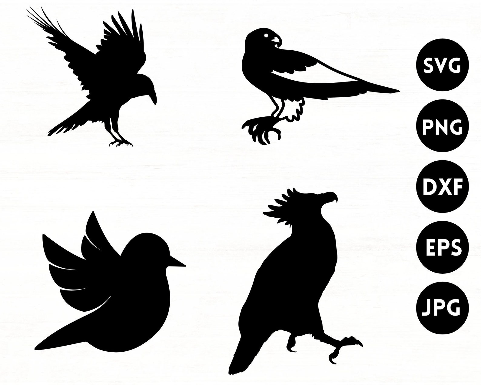 Bird Svg Bundle, Bird Svg, Flying Bird Svg, Animal Svg, Bird Clip Art ...