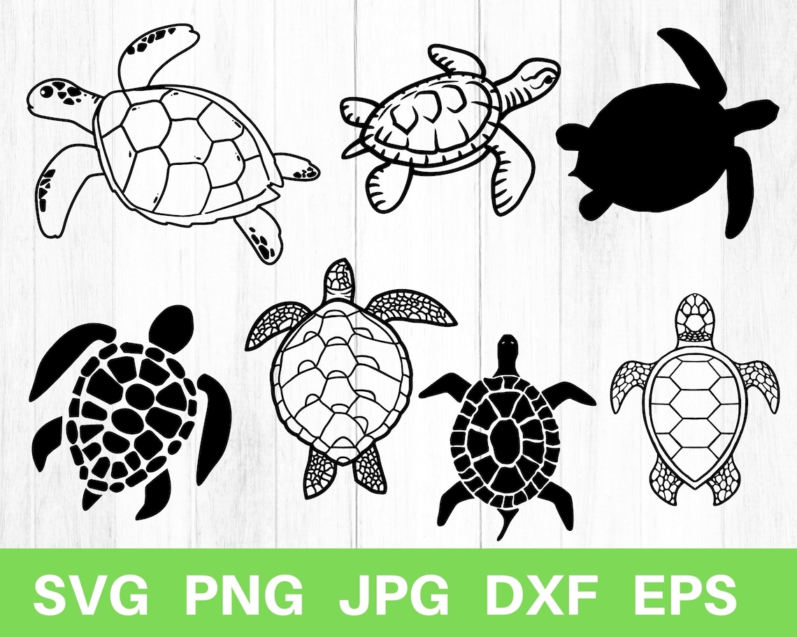 15 Turtle Svg Bundle, Sea Turtle Svg, Sea Turtle Png, Turtle Svg Png ...