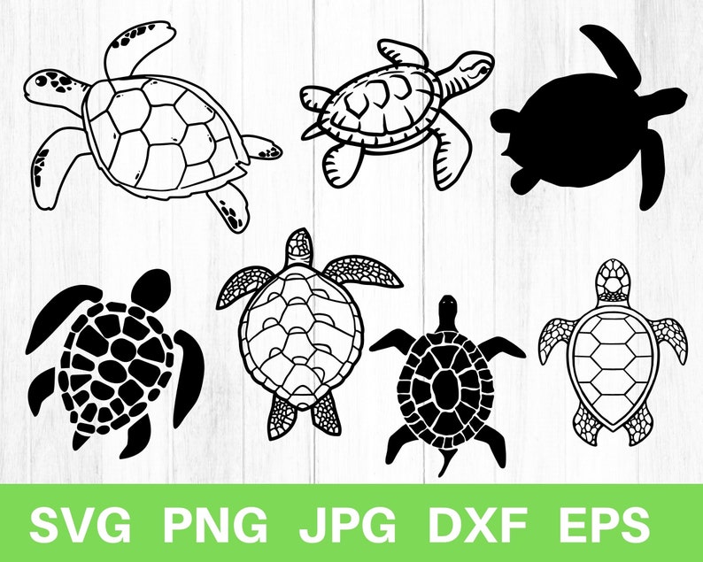 15 + Turtle Svg Bundle, Sea Turtle Svg, Sea Turtle Png, Turtle Svg Png ...