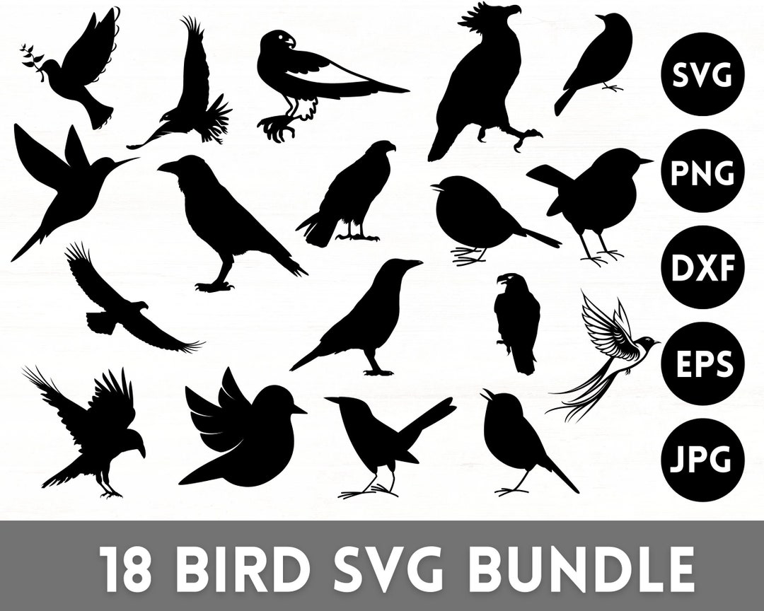 Bird Svg Bundle, Bird Svg, Flying Bird Svg, Animal Svg, Bird Clip Art ...