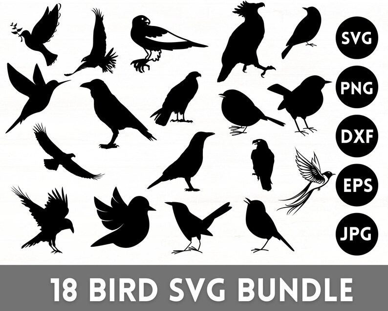 Bird Svg Bundle, Bird Svg, Flying Bird Svg, Animal Svg, Bird Clip Art ...