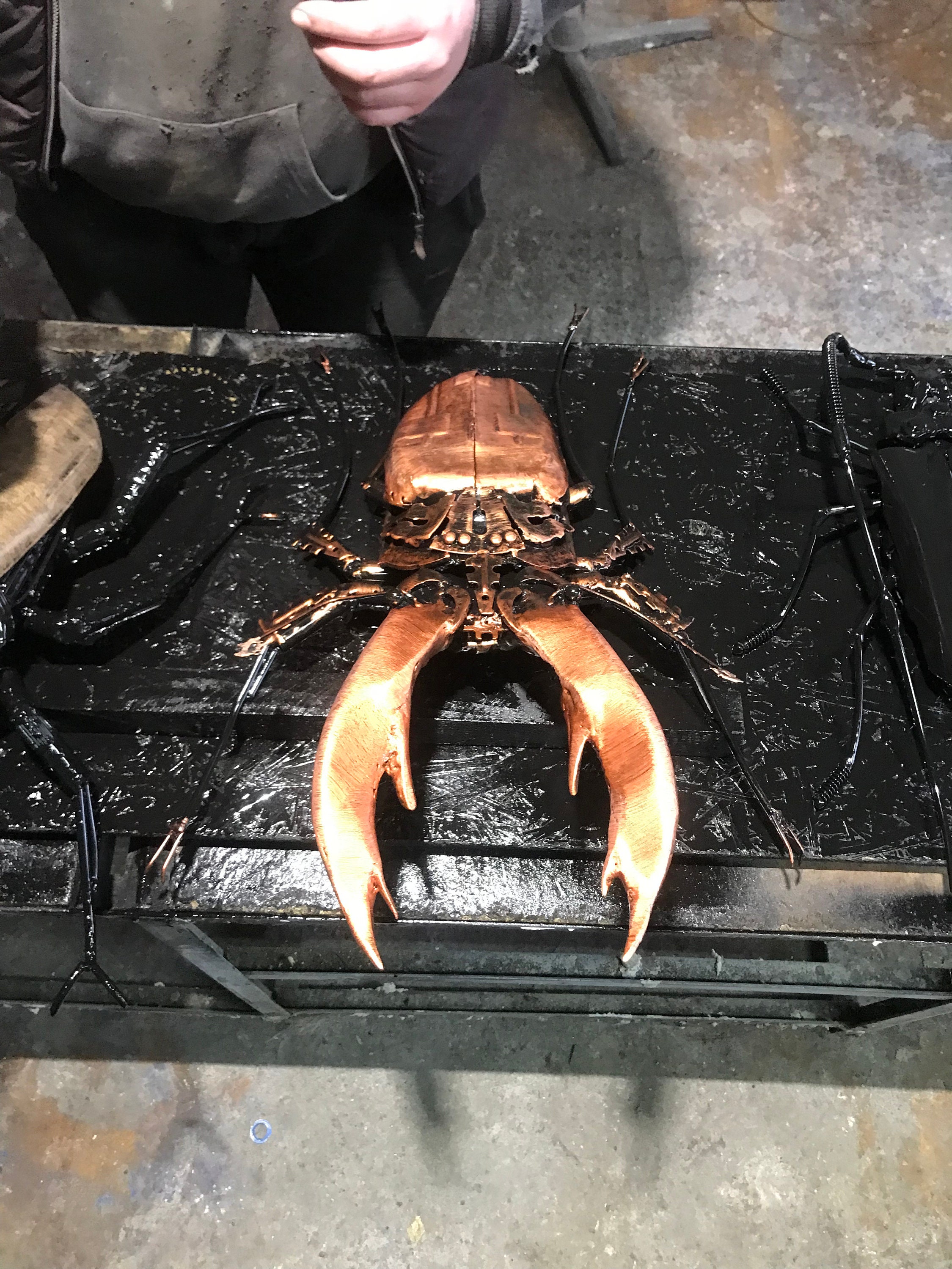 Stag Beetle 16" , Iron Beetle , Modern Recycled Scrapmetal Steampunk ...