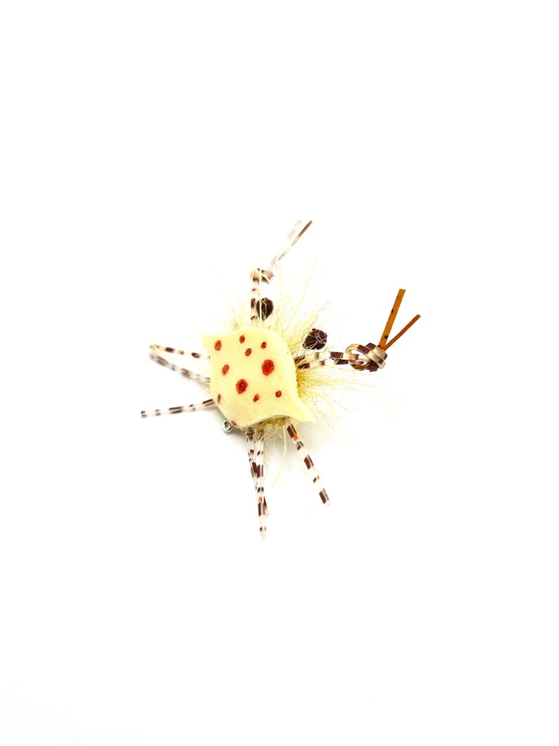 Floating Taco Crab - Etsy