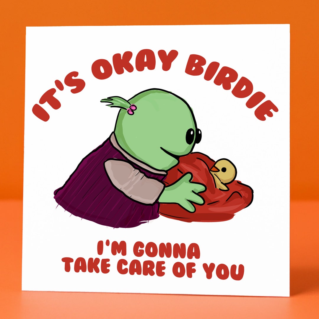 It's Ok Birdie | Get Well Soon | Birthday Card | Valentines Day ...