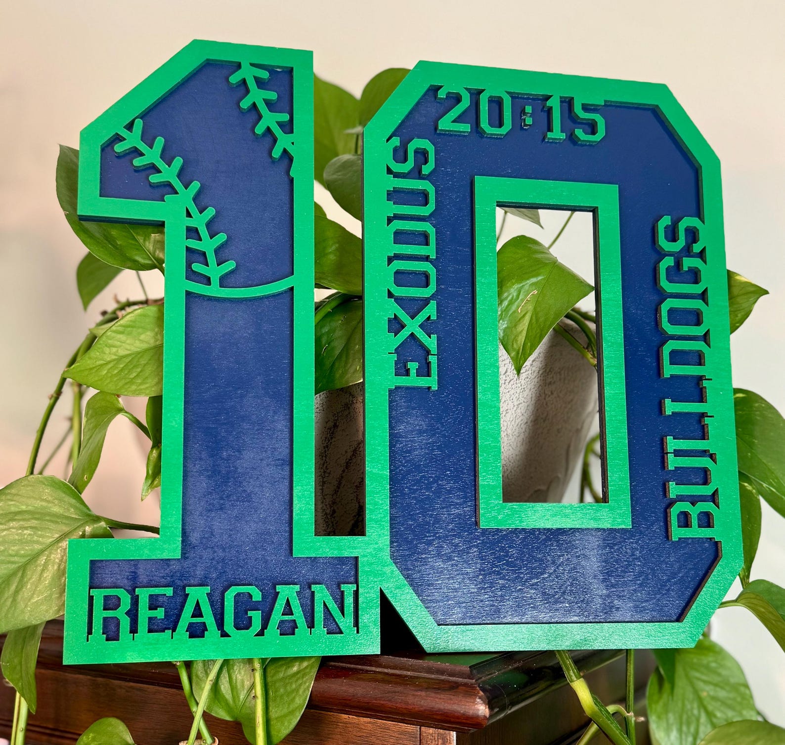 Custom Senior/athlete Number - Personalized Graduation or Sports Jersey ...