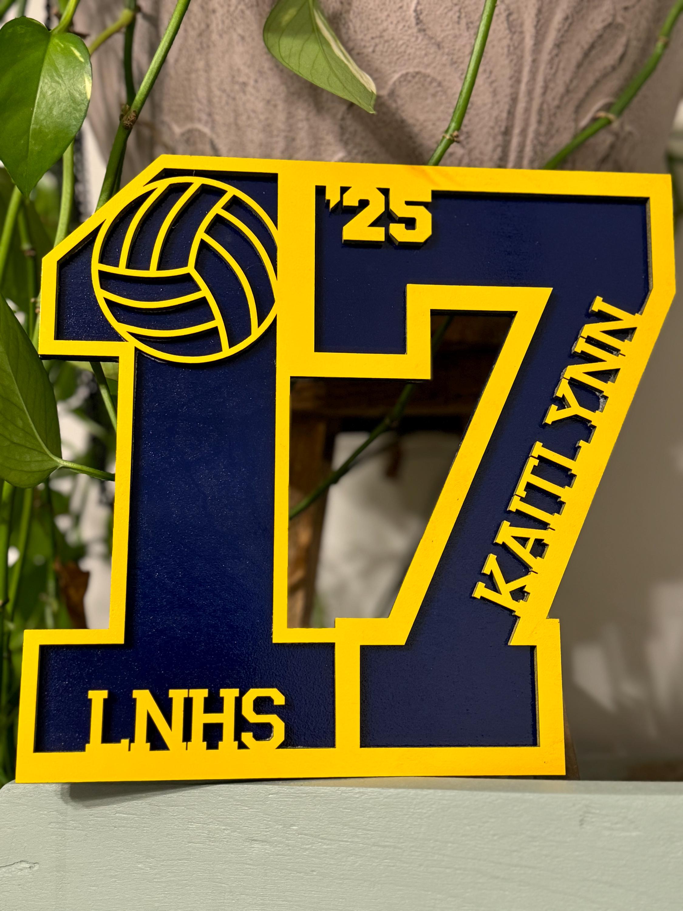Custom Senior/athlete Number - Personalized Graduation or Sports Jersey ...