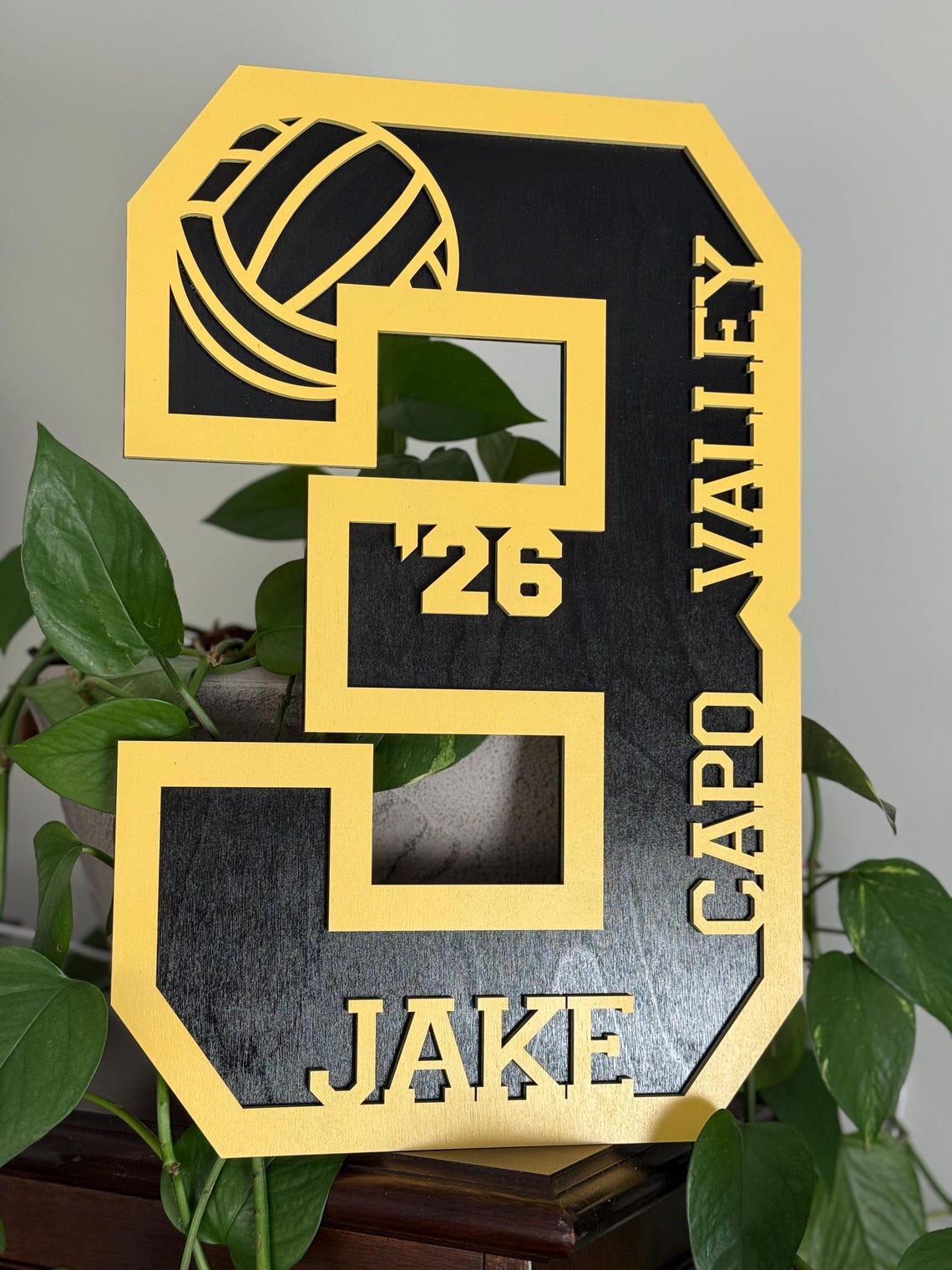 Custom Senior/athlete Number - Personalized Graduation or Sports Jersey ...
