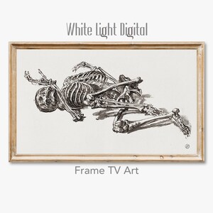 Halloween Skeleton Art for Tv Frame, Dark Academia Decor, Halloween ...