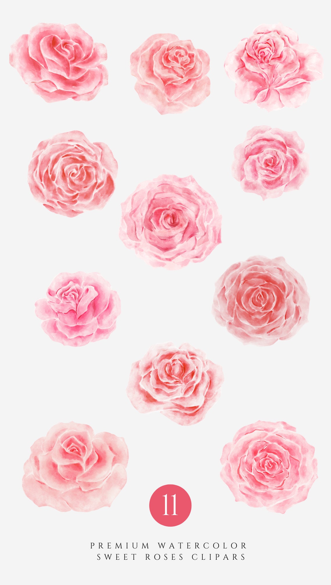 Rose Floral Clipart, Watercolor Roses Clipart, Floral Clipart ...